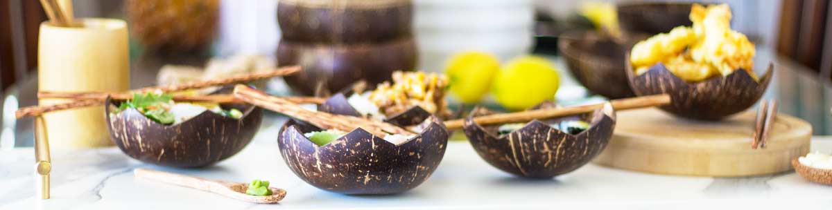 Coconut Plates - Coconutsy