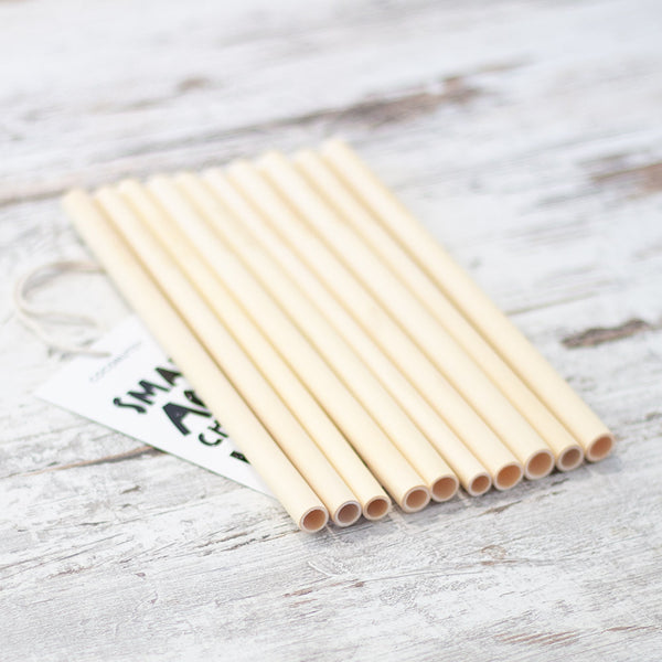 Bamboo Straws Bundle of 10 - Coconutsy