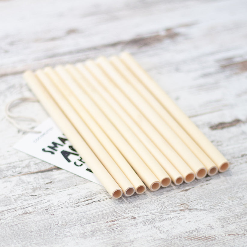 Bamboo Straws Bundle of 10 - Coconutsy