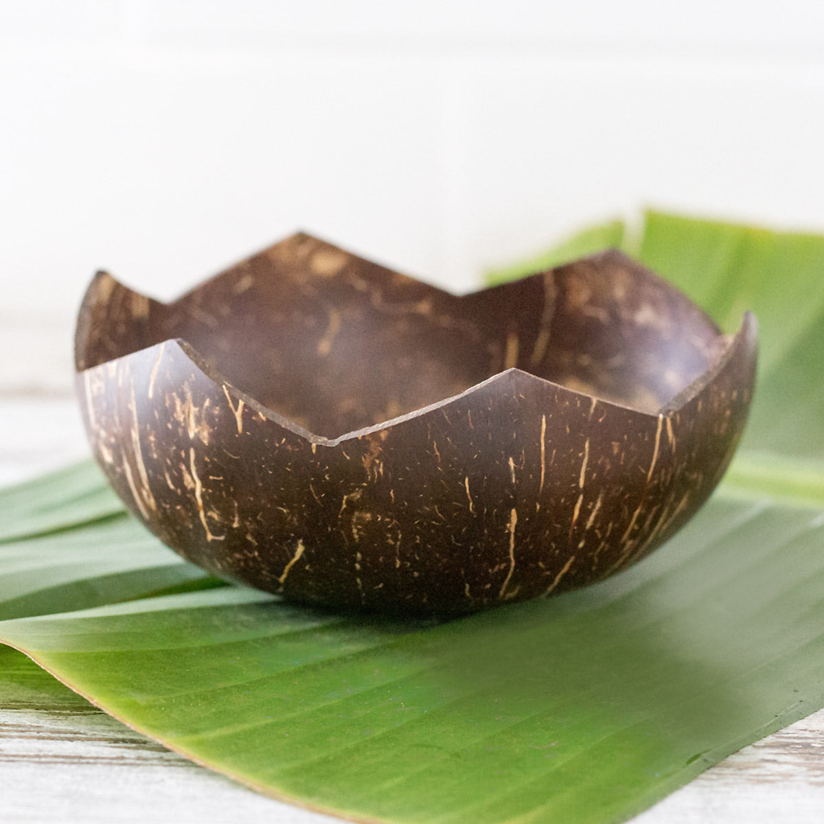 Lotus Coconut Bowl - Coconutsy
